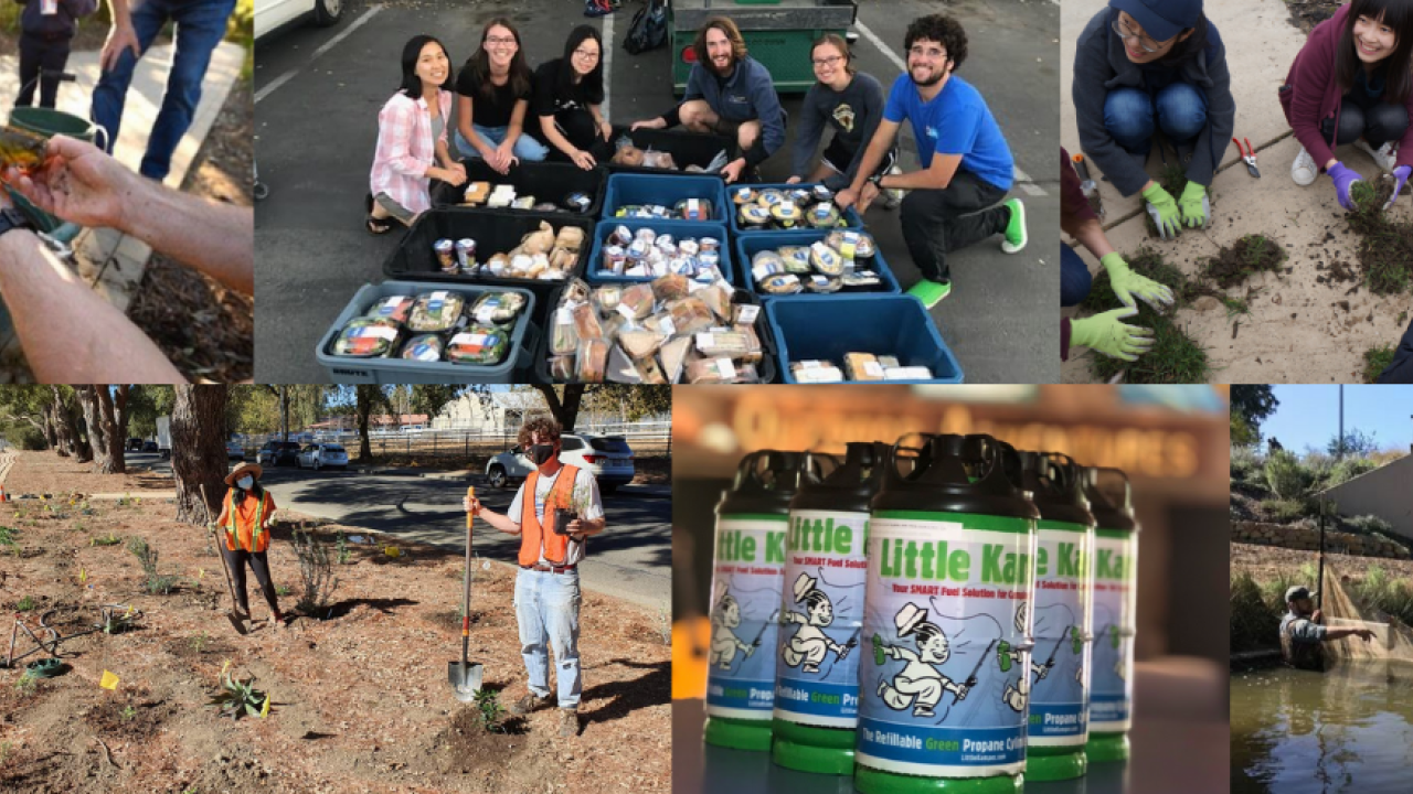 The Green Initiative Fund (TGIF) | Sustainable UC Davis